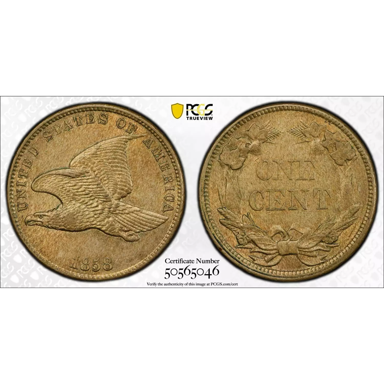 1858 Flying Eagle Cent PCGS MS-62 Small Letters - Harbor Coin Company