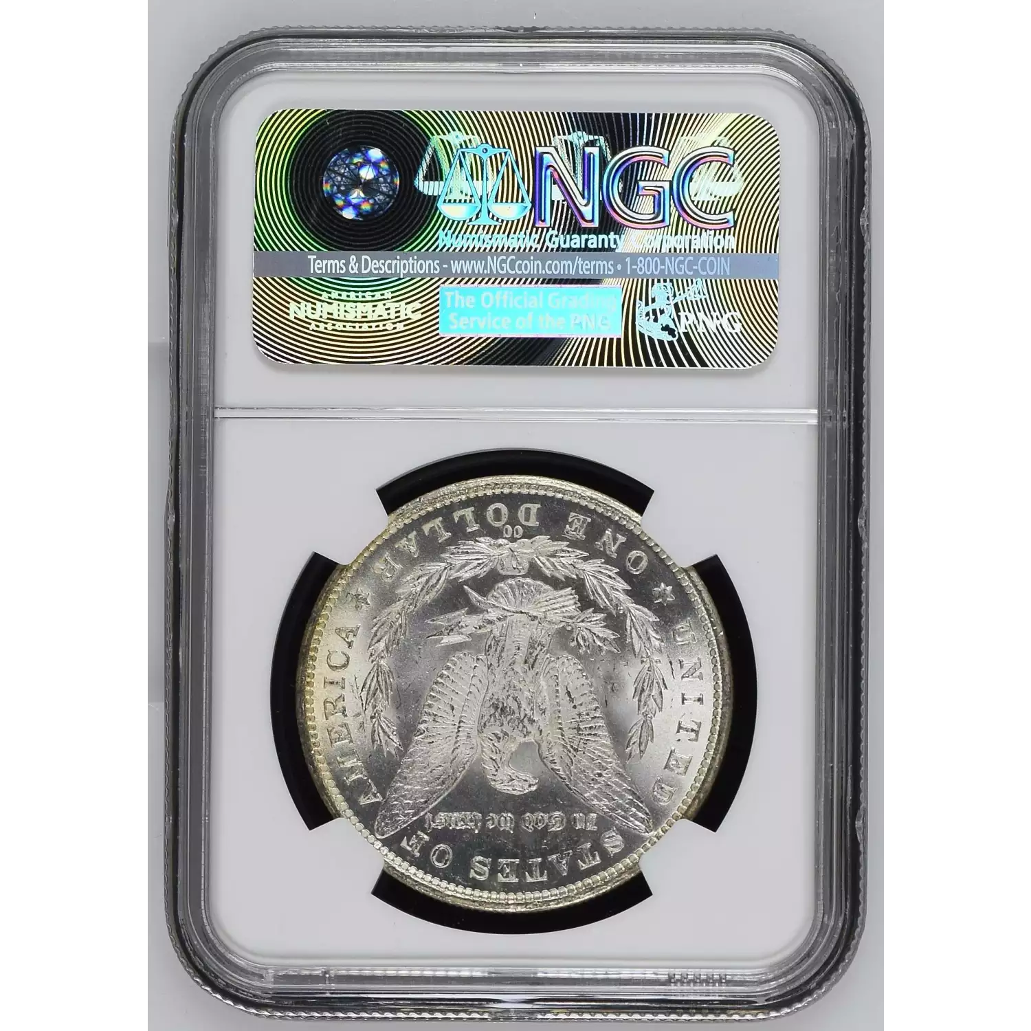 1881-CC Morgan Silver Dollar NGC MS-64+ - Harbor Coin Company