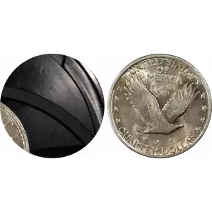 Standing LIberty Quarter | Harbor Coin Company