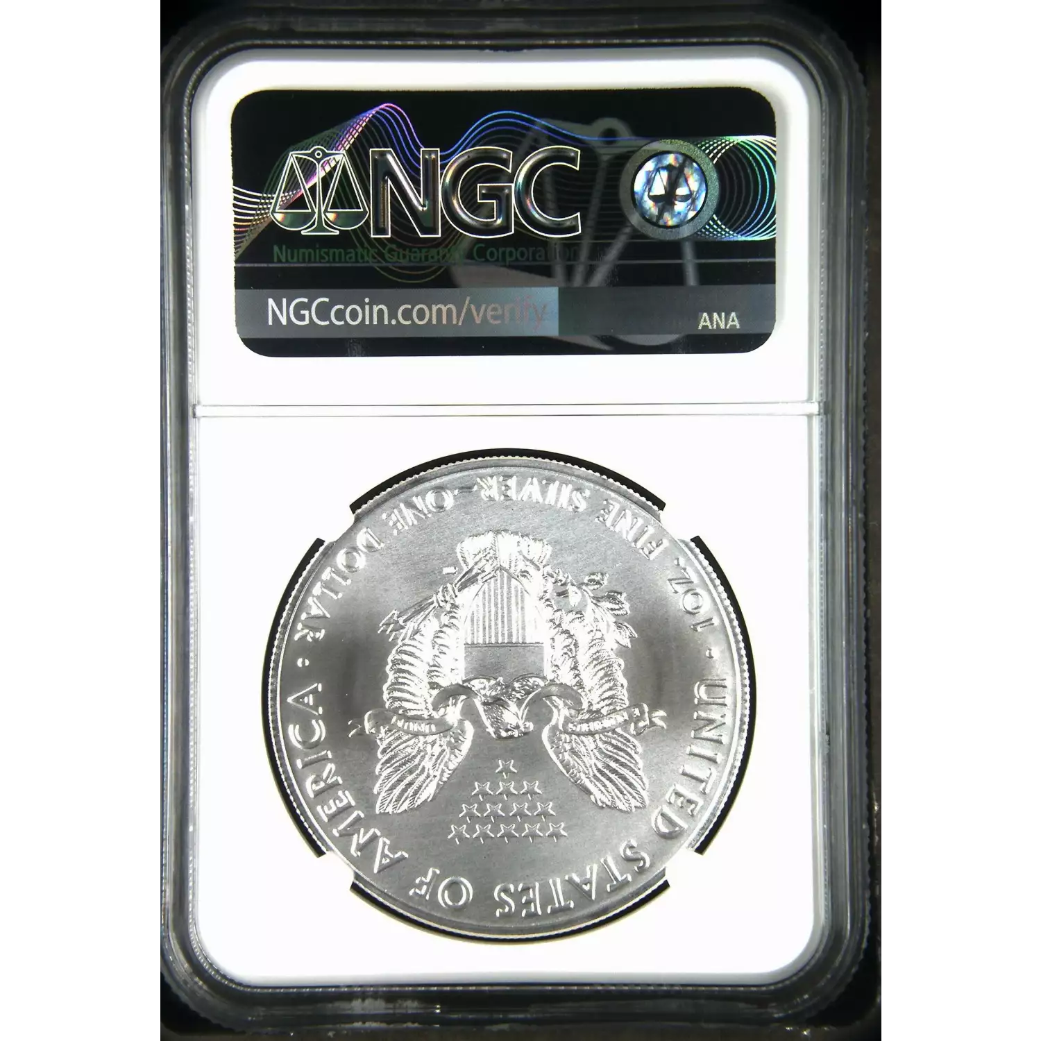 2020 Bullion Silver Eagles NGC MS-70 - Harbor Coin Company