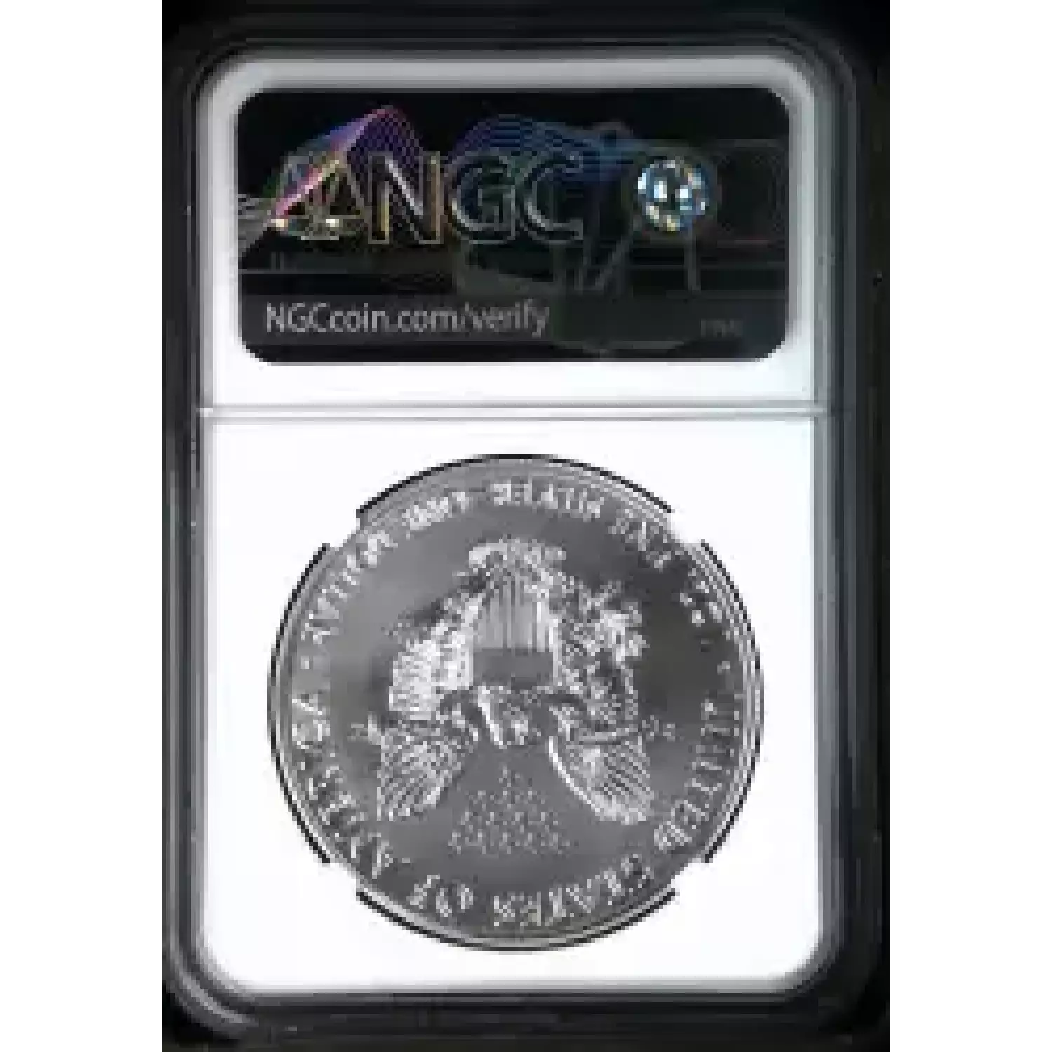 2021 Bullion Silver Eagles NGC MS-70 Heraldic Eagle T-1 - Harbor Coin Company