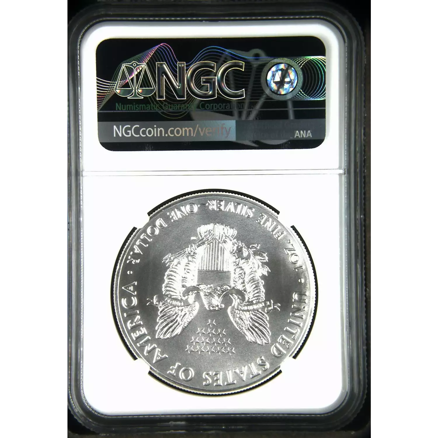2020 Bullion Silver Eagles NGC MS-69 - Harbor Coin Company