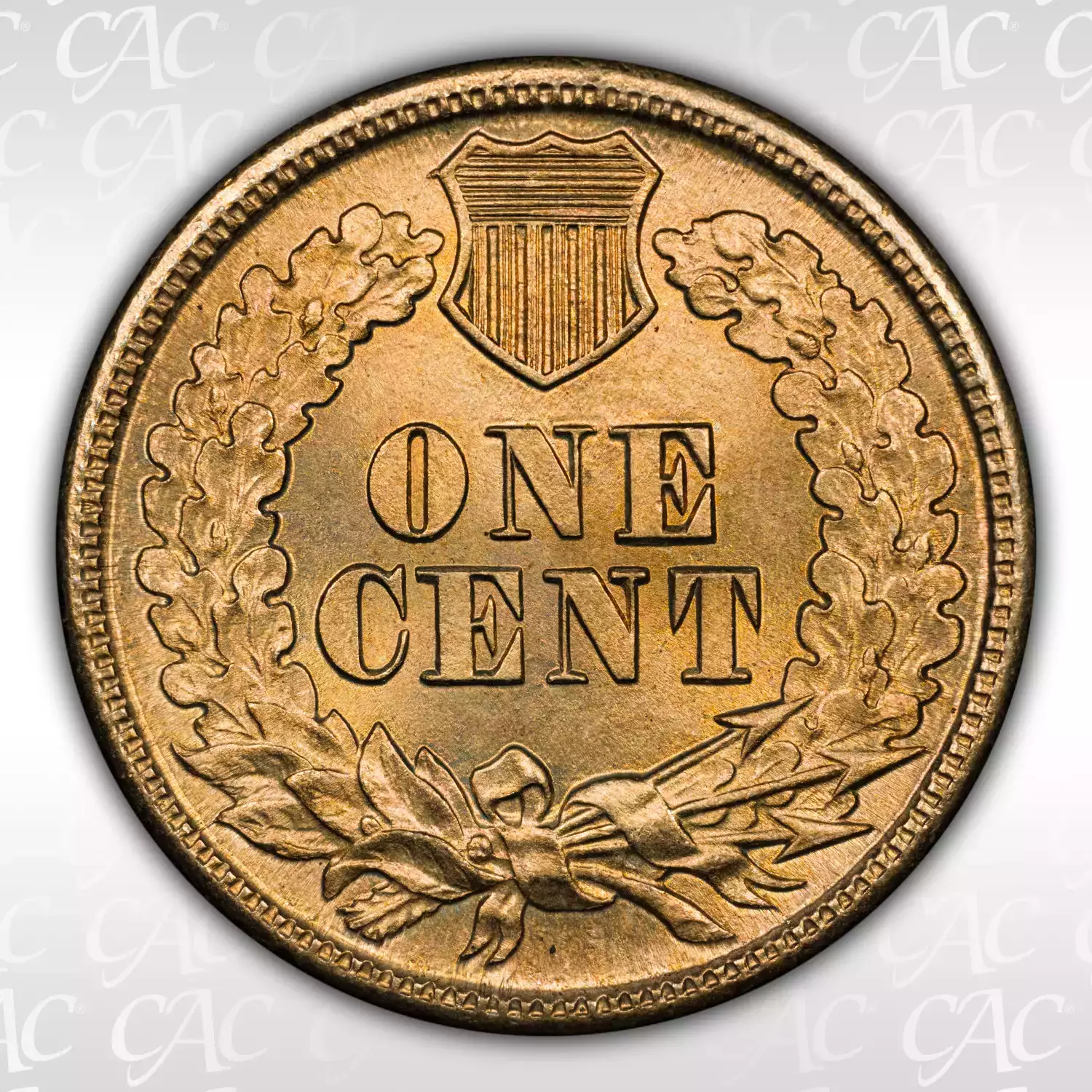 1860 Indian Head Cent CACG MS 67 - Harbor Coin Company