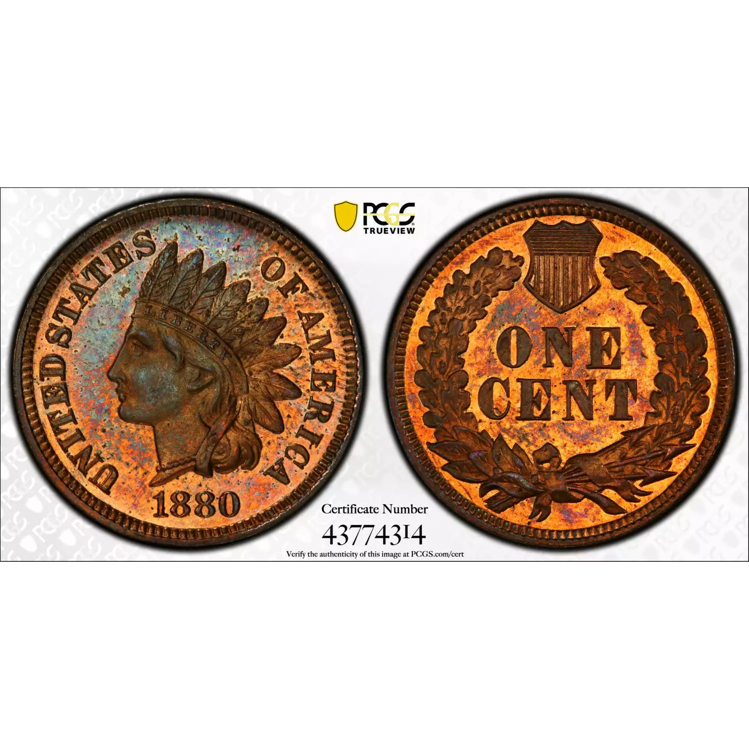 1880 Indian Head Cent PCGS PR-65 RB - Harbor Coin Company