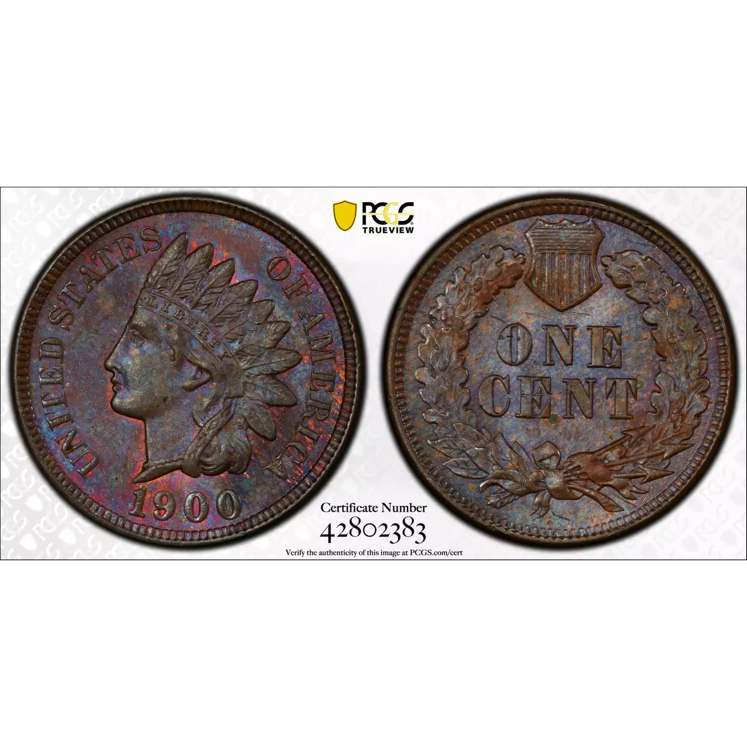 1900 Indian Head Cent PCGS MS-64 BN CAC - Harbor Coin Company