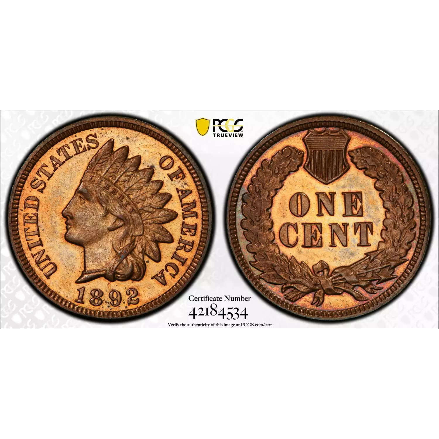 1892 Indian Head Cent PCGS PR-65 RB - Harbor Coin Company